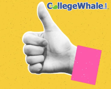 Best Current Student Loan Lender Rates November 2025 | CollegeWhale.com